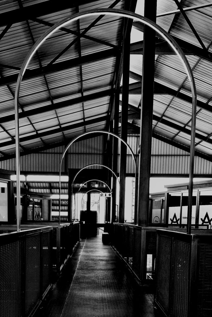 Winning Gallery - 202511 - Levitation - IPIP Photoclub