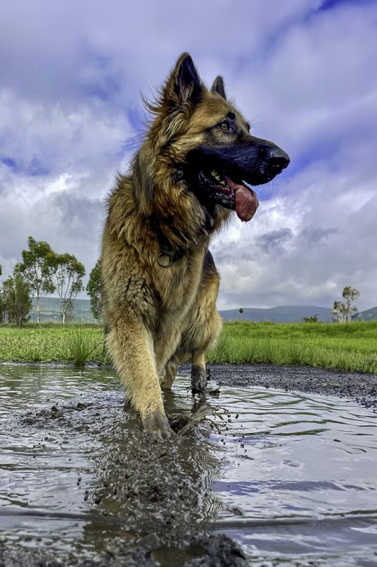 Home - IPIP Photoclub